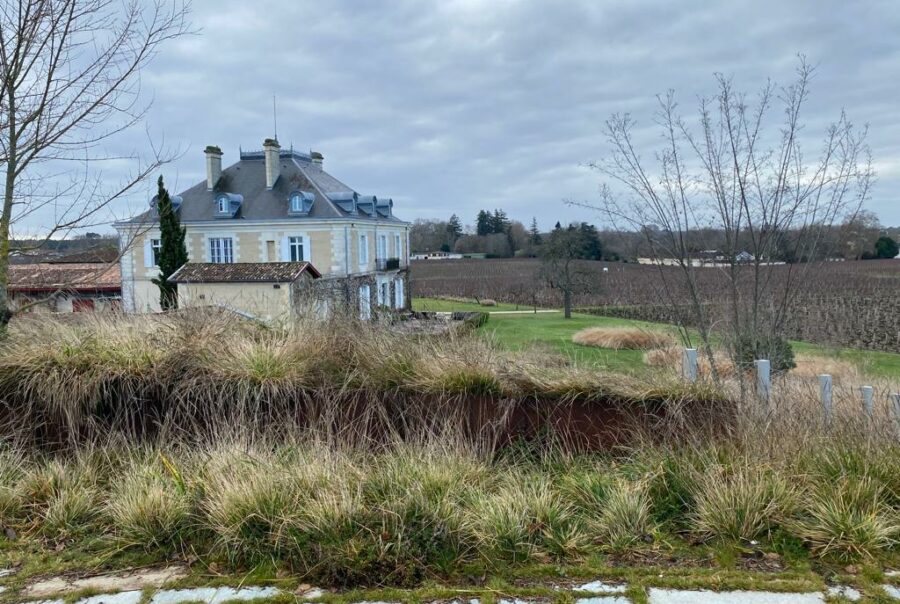 Chateau Luchey Halde : histoire, cépages, vendanges et dégustation
