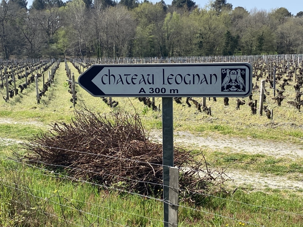 Chateau Leognan : l'apprenti sommelier vous raconte ce Pessac Léognan