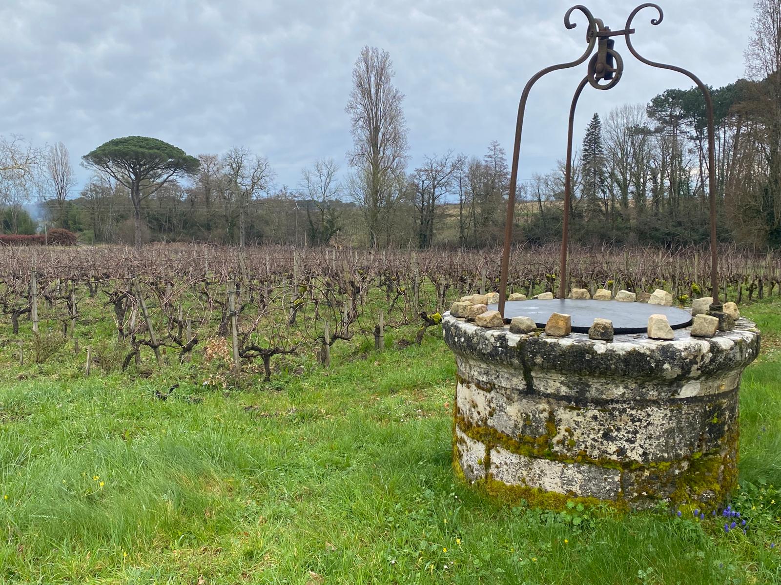 Château Haut Nouchet : l'apprenti sommelier raconte ce domaine